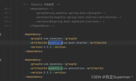 【二开】若依cloud整合mybatisplus ruoyi cloud mybatis plus csdn博客