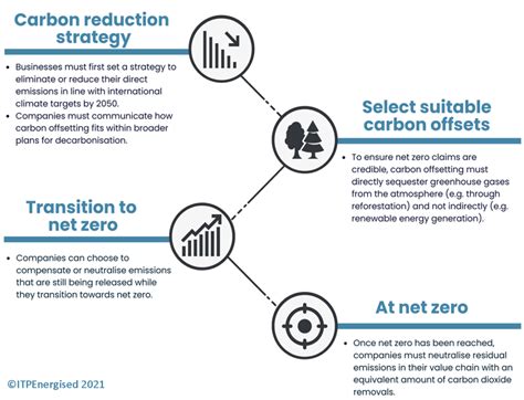 What Is Carbon Offsetting And How Can It Help Your Net Zero Objectives