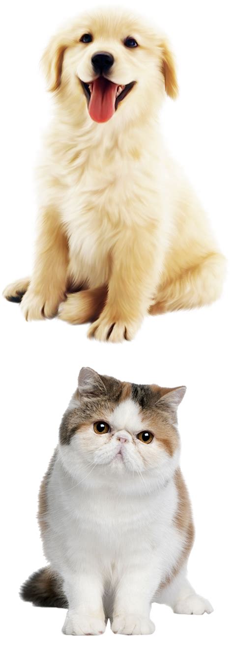 Png