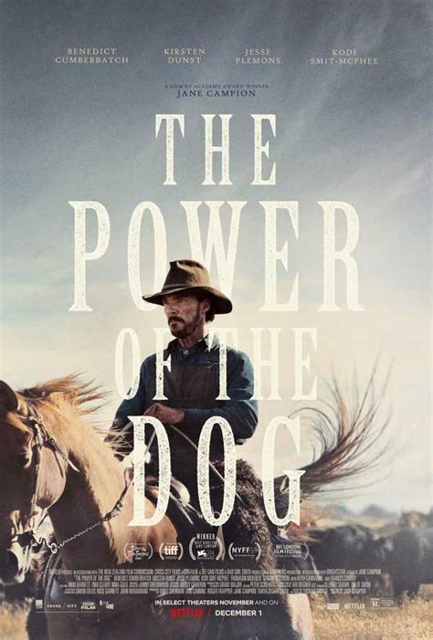 13 Meilleurs Westerns Sur Netflix En Ce Moment Avril 2024