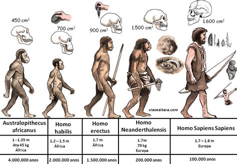 Proceso de hominización Recurso educativo 745347 Tiching