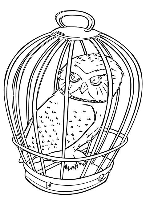 Dibujo e Imagen Harry Potter Búho para Colorear y Imprimir Gratis para