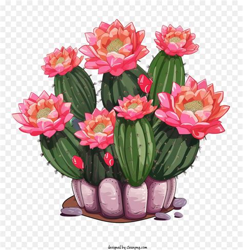 Cacto Suculento Cactus Vasos De Plantas png transparente grátis