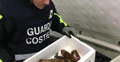 Guardia Costiera 170 Tonnellate Di Pesce Sequestrate E 7 Mila