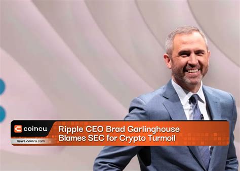 Ripple Ceo Brad Garlinghouse Blames Sec For Crypto Turmoil
