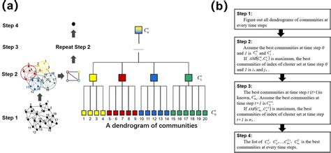 schematics of the hierarchical clustering method a schematics of the download scientific