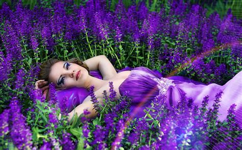 Download Amateur Model In Lavender Field Wallpaper