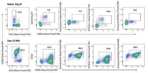 Flow Cytometry Panel Flow Cytometry Kits Bio Techne
