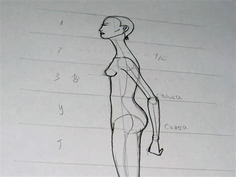 Cómo dibujar figurín de moda de perfil paso a paso Canon proporción 8