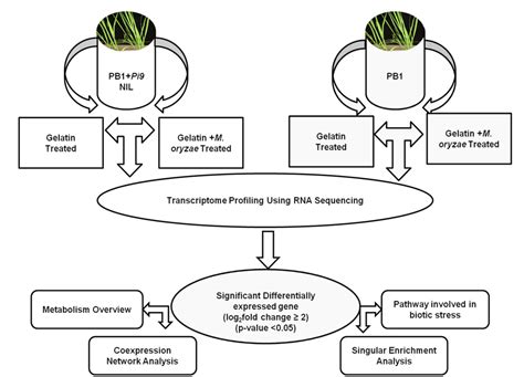 figure 2 from understanding host pathogen interactions with expression profiling of nils