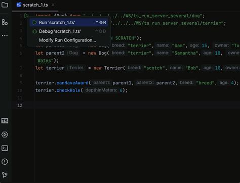 Running And Debugging TypeScript WebStorm Documentation