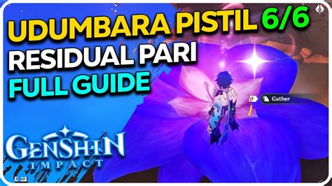 Awaken The Residual Pari ALL Udumbara Pistil Genshin Impact YouTube