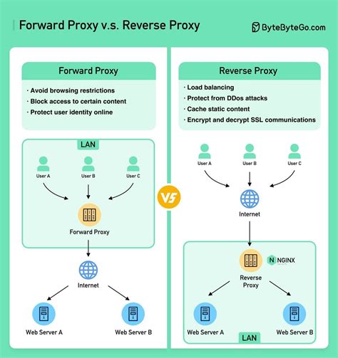 Nginx Proxy Vs Reverse Proxy Fixes Co Za