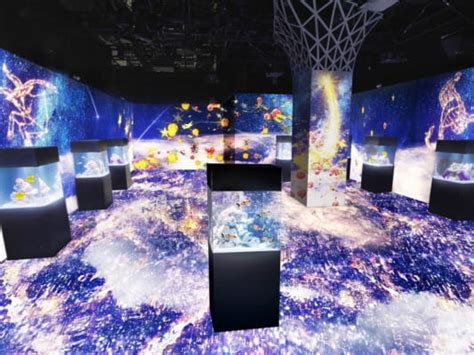 NAKED STAR AQUARIUM Christmas Event 2023 Japan Web Magazine