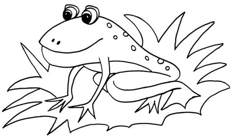 Desenhos Para Colorir De Sapo Pop Lembrancinhas
