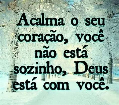 Cora Coralina Feliz Aquele Que Transfere O Que Sabe E Aprende O Que