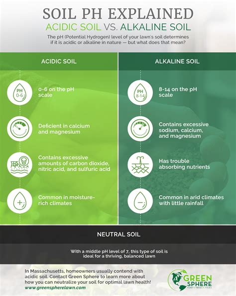 What Are The Signs Of Acidic Soil Green Lawn Cares