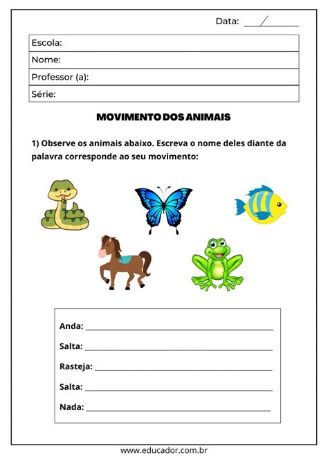 20 Atividades de Ciências para 3º ano Educador