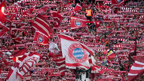 Fan von Bayern München Diese 15 Sprüche bringen dich so richtig auf