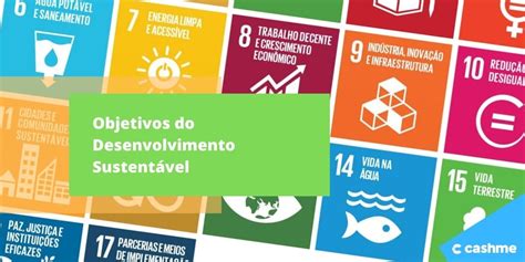 17 Objetivos do Desenvolvimento Sustentável ODS da ONU