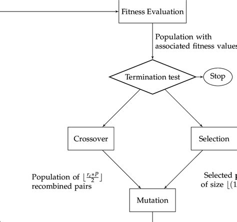 skeleton of an optimization genetic algorithm download scientific diagram