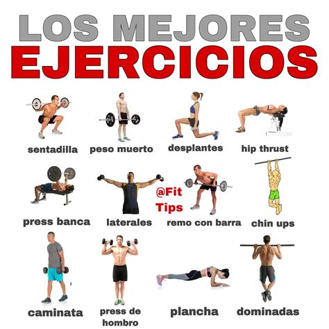 Fit Tips Los MEJORES Ejercicios Que Puedes Hacer Para GANAR MASA MUSCULAR