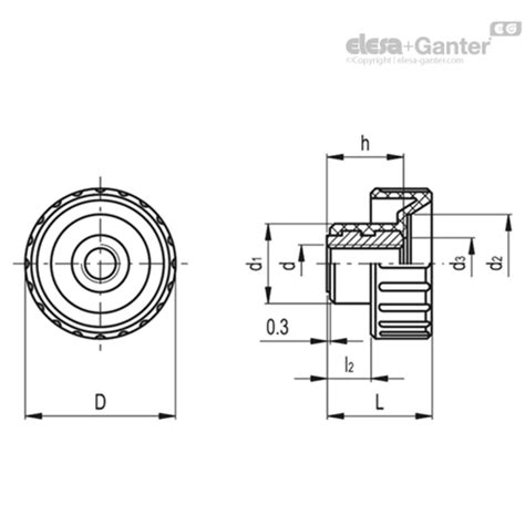 Bt Sst Fp M Kopen Bestel Bij Elesa Ganter B V