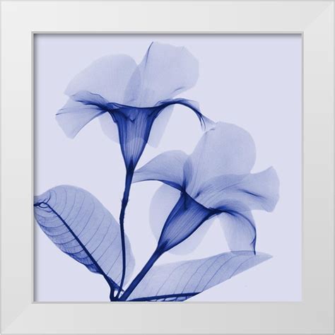 Koetsier Albert 15x15 White Modern Wood Framed Museum Art Print Titled