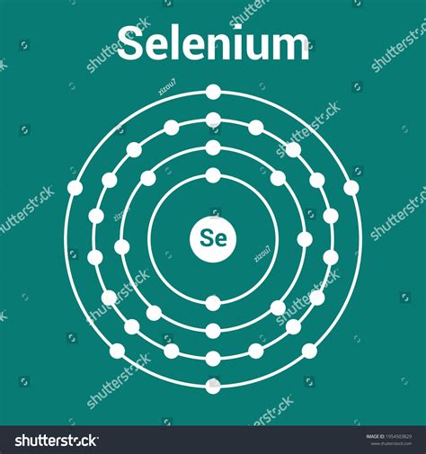 Bohr Model Of The Selenium Atom Electron Royalty Free Stock Vector