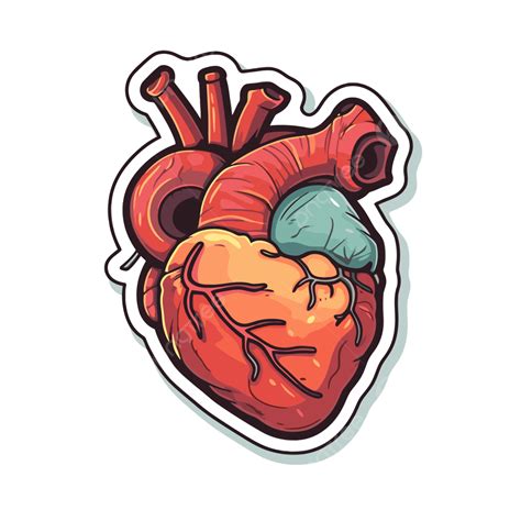 Heart Sticker With An Internal Organ On It Vector Clipart Heart
