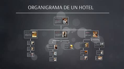 ORGANIGRAMA DE UN HOTEL By Gloria Crespo Montaner On Prezi
