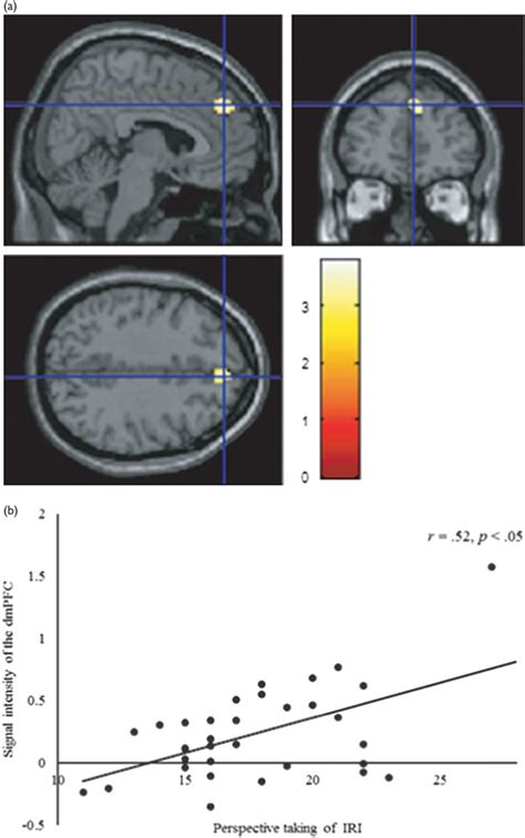 the neural correlates of the metacognitive function of other perspective a multiple regression
