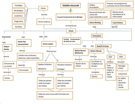 Mapas Mentais sobre TEORÍA CELULAR Study Maps