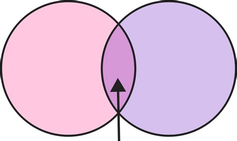 Overlap Venn Diagram Pink Purple Openclipart
