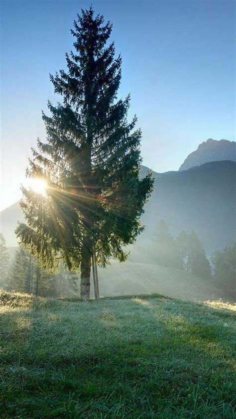 Iphone 14 hermosos paisajes naturales Fondo de pantalla de teléfono
