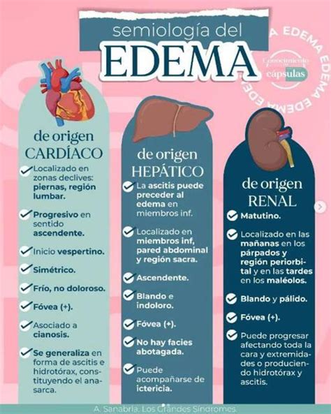 Tipos De Edema YUDOC ORG UDocz