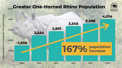 Rhino Population Amity Beverie