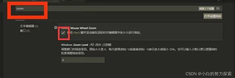 【ubuntu系统配置】012ubuntu20 04中vscode——无法输入中文（安装vscode）、升级、放大界面、安装中文插件不生效 ubuntu vscode无法输入中文 csdn博客