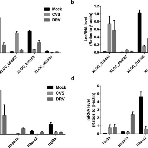 validation of rna seq data by using qpcr analysis a b rna seq data download scientific