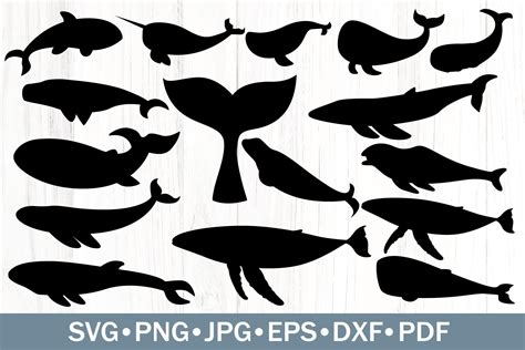 Whale Silhouettes Bundle Whale SVG Graphic By SouthernDaisyDesign