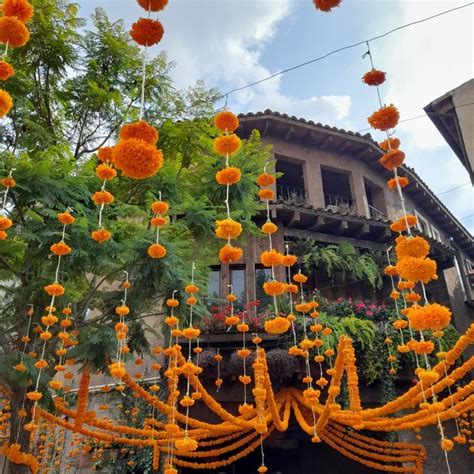Orange Flowers Are Hanging From The Ceiling In Front Of A Building With