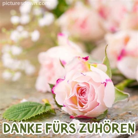 Danke fürs zuhören bild Fuchs