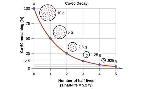 Radioactive Decay And Half Life Worksheet