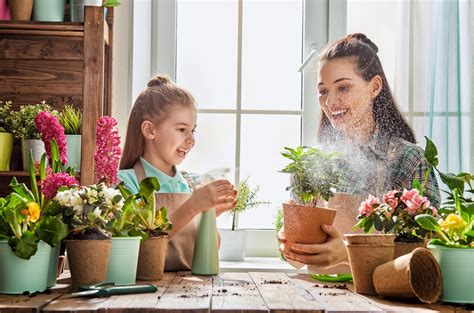 Décor 5 dicas para transformar sua casa num lar acolhedor H Lar