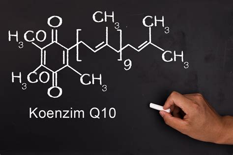 Koenzim Q10 Nedir Hangi Besinlerde Bulunur Yan Etkileri ve Faydaları
