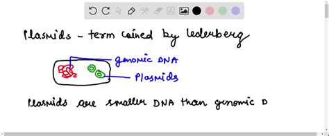 SOLVED What Are Plasmids A Naked Genomic DNA B Smaller DNA Than