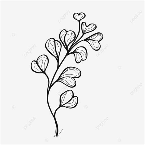 Beautiful Flower Doodle Flowerr Doodle Vintage PNG Transparent