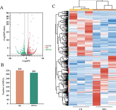 Analysis Results Of Differentially Expressed Genes A Distribution Of
