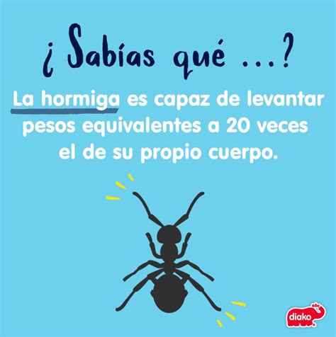 Curiosidades Sabias Que Datos Curiosos Datos Curiosos Sabias Que Images