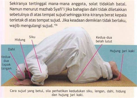 Cara Sujud Yang Betul Ikut Panduan Rasulullah